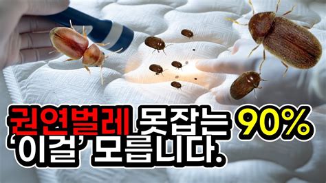 조금이라도 빨리 알았으면 좋았을 권연벌레 서식지 찾는법 Youtube
