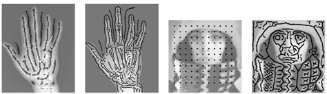 Two Examples Of Skeleton Computation Download Scientific Diagram