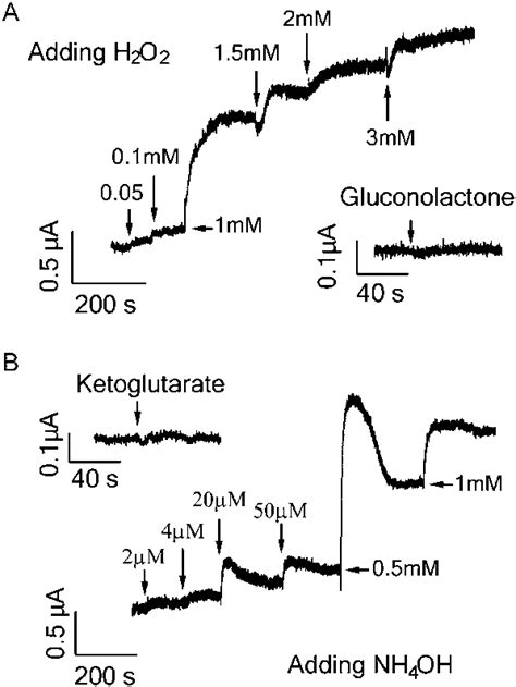 A Current Responses Of Graphene Fet To Addition Of Products From
