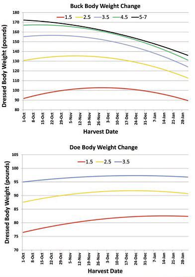 Evaluating Food Plot Performance Mossy Oak