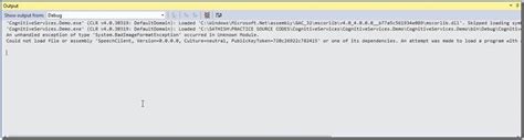 your app has entered a break state but no code is currently executing that is supported by the
