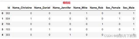 Pandas Getdummies用法及代码示例pandas Getdummies Csdn博客