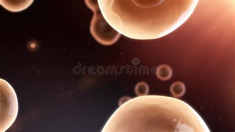 Cell Division Cell Proliferation Replication In Warm Colors Microscopic Environment Cells