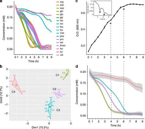 Amino Acids Assimilation Profiles A Degradation Dynamics For Each Of