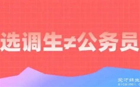 养猫你需要把它带出去溜溜吗 神奇评测