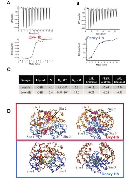 Noncovalent Binding Of GSH To Hb Is O Dependent ITC Titration Curve