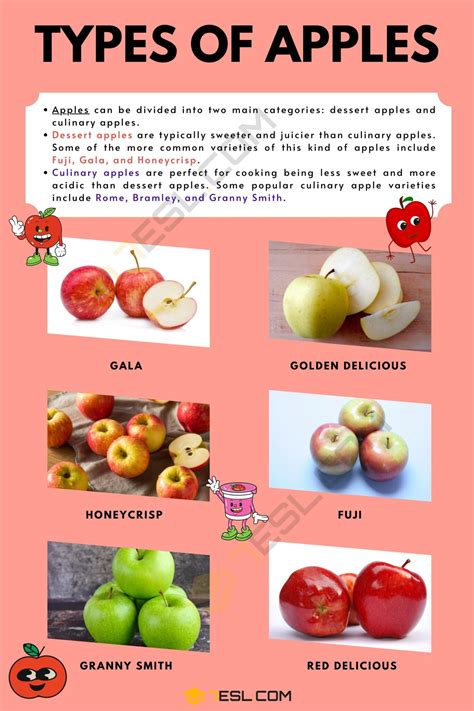 Types Of Apples In English 7ESL