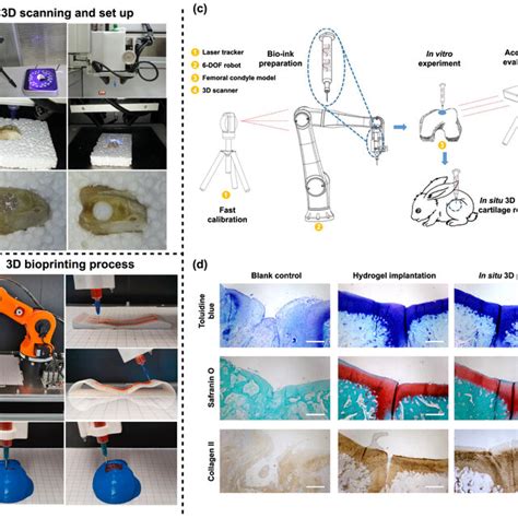 Robotic Assisted Extrusion Based In Situ Printing For Cartilage Download Scientific Diagram