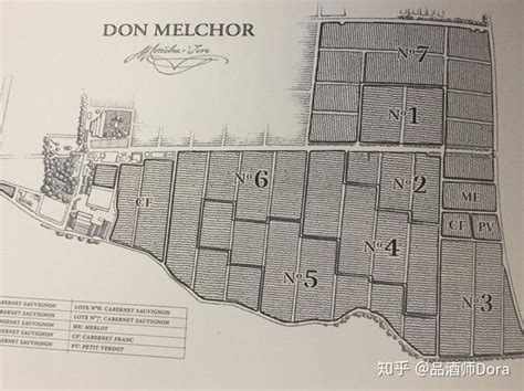 品鉴智利顶级赤霞珠Don Melchor魔爵红 知乎