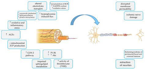 What Is The Difference Between Sensory Neuropathy And Peripheral Neuropathy