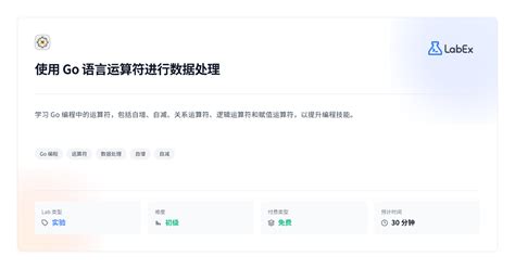 使用 Go 语言运算符进行数据处理 Labex