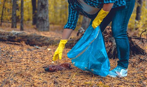 한 여성 환경 보호론자가 숲에서 쓰레기를 수거하고 있다 파란 쓰레기 봉투를 손에 든 여성이 숲에서 플라스틱 쓰레기를 모으고 있다 한 여성이 쓰레기로 오염된 숲을 구합니다