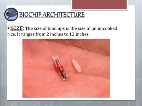 Crack The Belief BIOCHIP