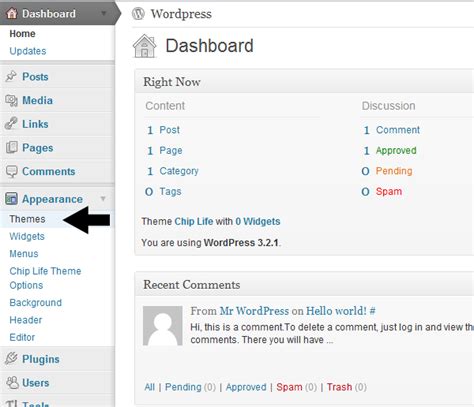 Learn How To Install WP Theme In Wordpress TutorialChip