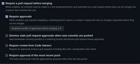 About Enabling Branch Protection Rules Leading To Possibility Of An Auto Merge Button · Issue