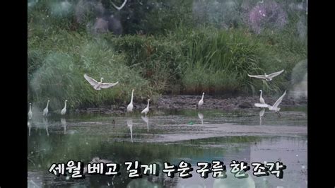 세월 베고 길게 누운 구름 한 조각이정옥커버원곡나훈아 Youtube