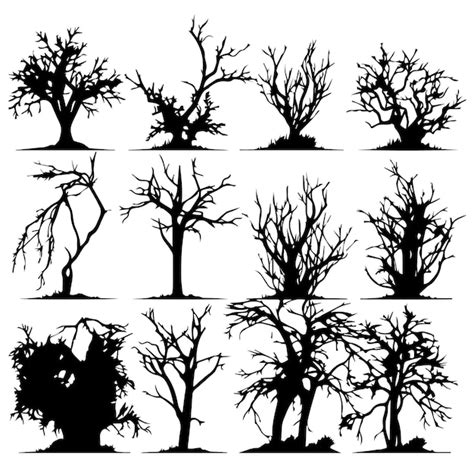 Premium Vector Silhouette Dead Tree Vector Silhouettee Tree Without
