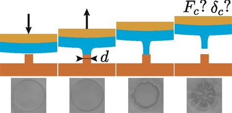 Publication Debonding Of A Soft Adhesive Fibril In Contact With An Elastomeric Pillar Matière