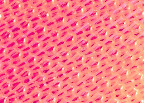 Bright Pink Pattern Fragment Of Fabric Textile Image Under The