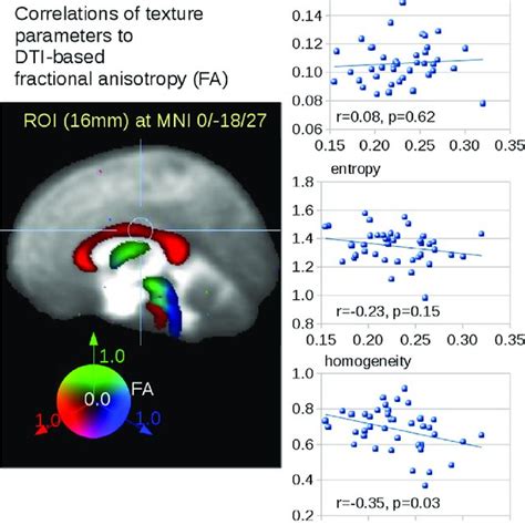 Correlation Analysis Between Texture And Fa Values Correlations Of Download Scientific Diagram