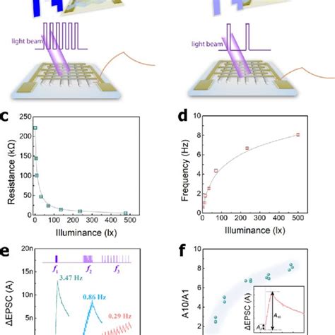 Human Visual System And Bio Inspired Neuromorphic Vision Sensors A