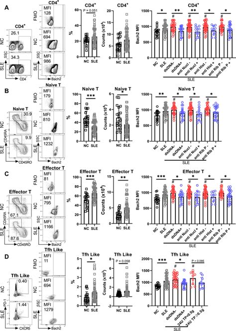 In Sle Cd4⁺ T Naïve T Effector T And Tfh‐like Cells Increased Bach2 Download Scientific