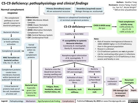 C5 C9 Deficiency Pathogenesis And Clinical Findings Note Grepmed