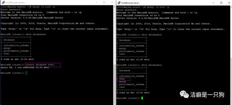 搭建amoeba实现mysql主从数据库读写分离 腾讯云开发者社区 腾讯云