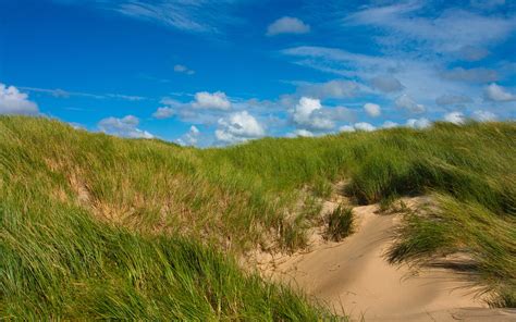 Grass Sand Dunes Wallpaper 1920x1200 30477