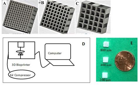 Cuboidal Shaped Porous Pcl Scaffold Design Created By Computer Software