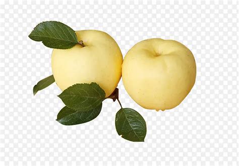 黄元帅苹果png图片素材下载图片编号8791509 Png素材网