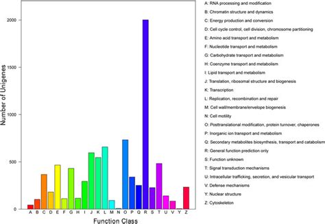 Histogram Presentation Of The Clusters Of The Orthologous Group Cog
