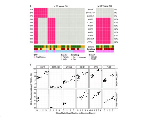 A Somatic Copy Number Alterations Scnas In Patients Download