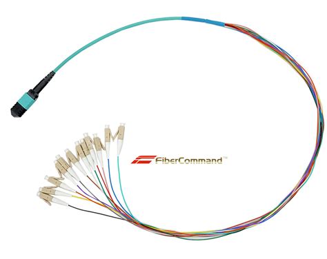 Pre Wire House With Fiber Optic Pre Terminated Fiber Assemblies