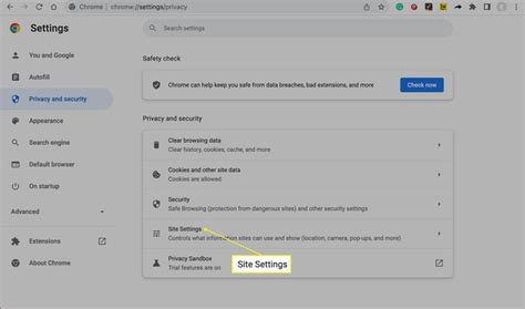 How To Give Chrome Access To Your Camera And Mic