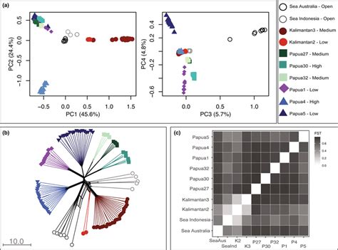 Population Genomic Structure Analyses For Lineage B From Sponge Download Scientific Diagram