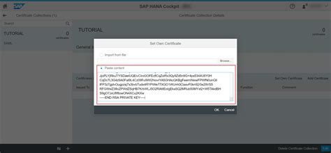 Reconfigure Trust Relationships On SAP HANA XS Systems SAP Tutorials