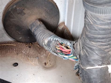 Chewed Wires Nissan Frontier Forum