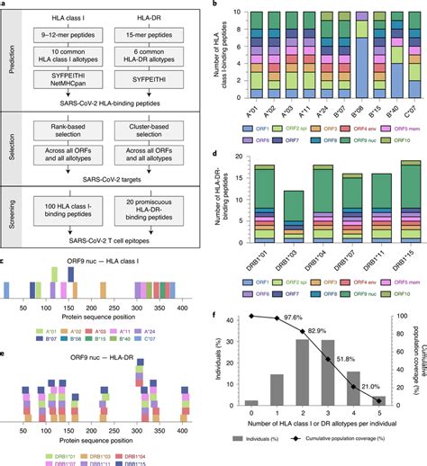 Identification And Selection Of Sars Cov 2 Derived Hla Class I And Download Scientific Diagram