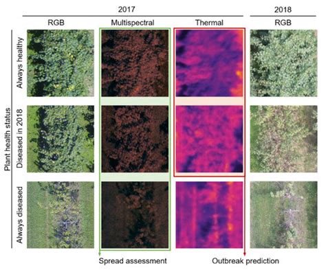 Remote Sensing Special Issue Crop Disease Detection Using Remote Sensing Image Analysis
