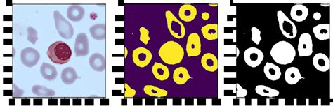 Opencv Installation And Getting Started With Image Processing By Sasani Perera Medium