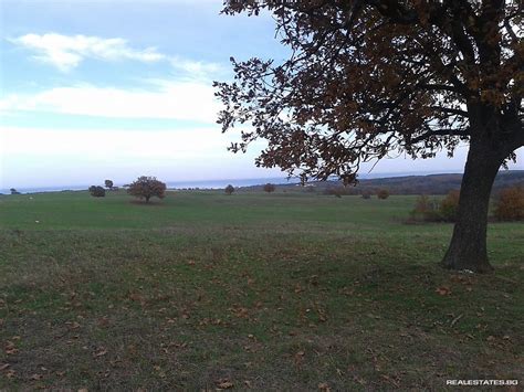 Велика Продава земеделска земя Земеделска земя 5000 кв м четвърта категория Земеделска земя гр