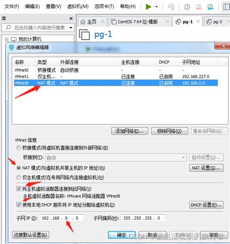 Vmware Nat模式配置方式