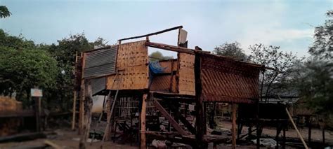 ဥတ္တရသီရိမြို့နယ်အတွင်းရှိကျေးရွာများတွင် မိုးသည်းထန်စွာရွာသွန်း၍ လေပြင်းများ တိုက်ခတ်မှုကြောင့