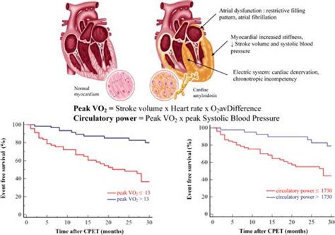 心肺运动试验对心肌淀粉样变的预后价值european Journal Of Heart Failure X Mol