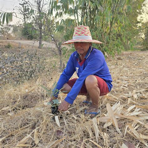 ดาวในเครื่องแบบ ช่วงนี้รู้สึกอยากพัก พักคำว่ารูด พูดคำว่ารัก😛🤤🍒🩷🩷 ครูเบสท์ ดาวใน