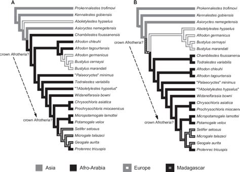 4 Strict Consensus Trees Derived From Parsimony Analysis Of 57 Download Scientific Diagram