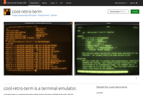 Discover The Best Terminal For Ubuntu In
