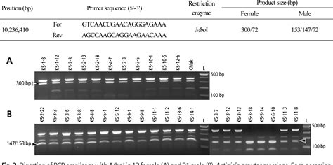 figure 3 from development of a caps marker for discriminating sex in