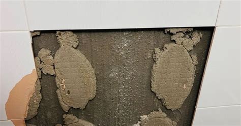 화장실 타일이 갑자기깨져서 숨고에서 알아보고 신청했는데요~ 최대한 비슷한 타일로 맞춰서 꼼꼼하게 작업해주셨어요 감사합니다~ 숨고 숨은고수